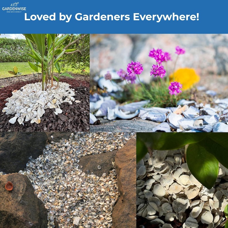 Natural Sea Shell Mulch | Coastal Garden & Patio Decor - Etsy