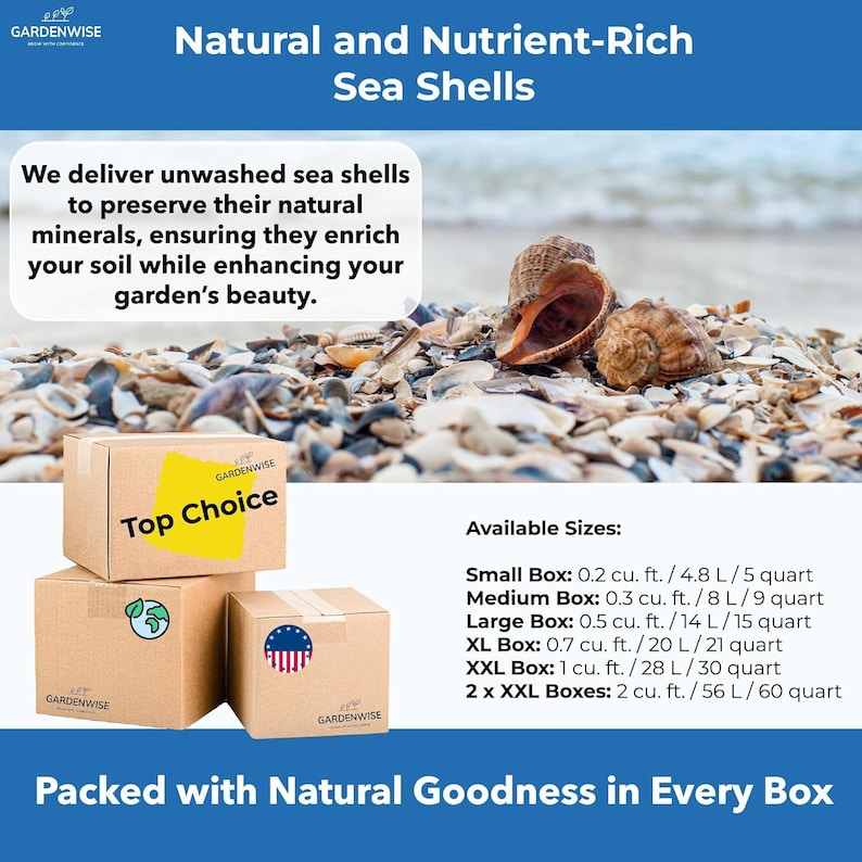 Natural Sea Shell Mulch for Garden and Landscaping | Decorative Coastal ...