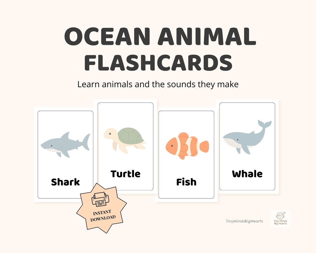 Ocean Animal Flashcards | Montessori Sea Creature Cards | Toddler ...