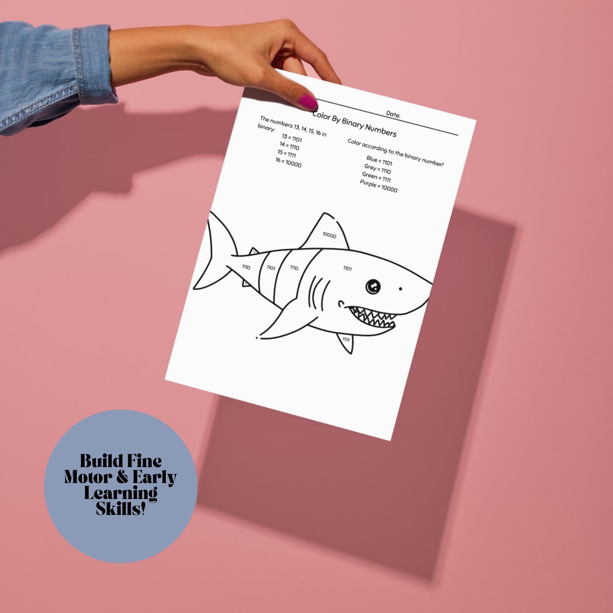 Color-by-binary Worksheets | Fun STEM Coding Activity (digital Download ...