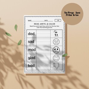 20-page Read Write & Color Worksheets | Short Vowel Word Families ...
