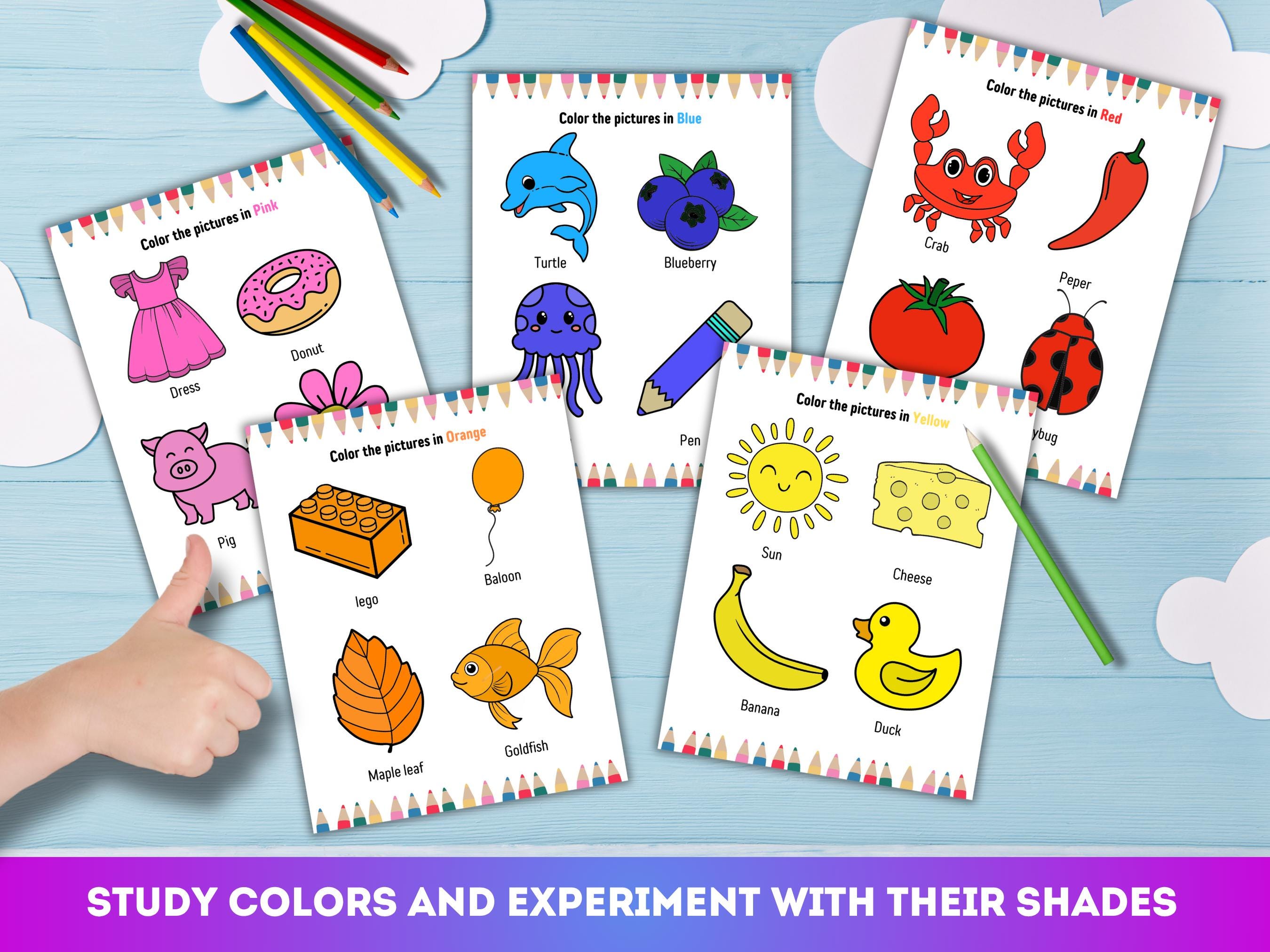 Color Learning Activity Sheets: Preschool Printable Game (PDF Download ...
