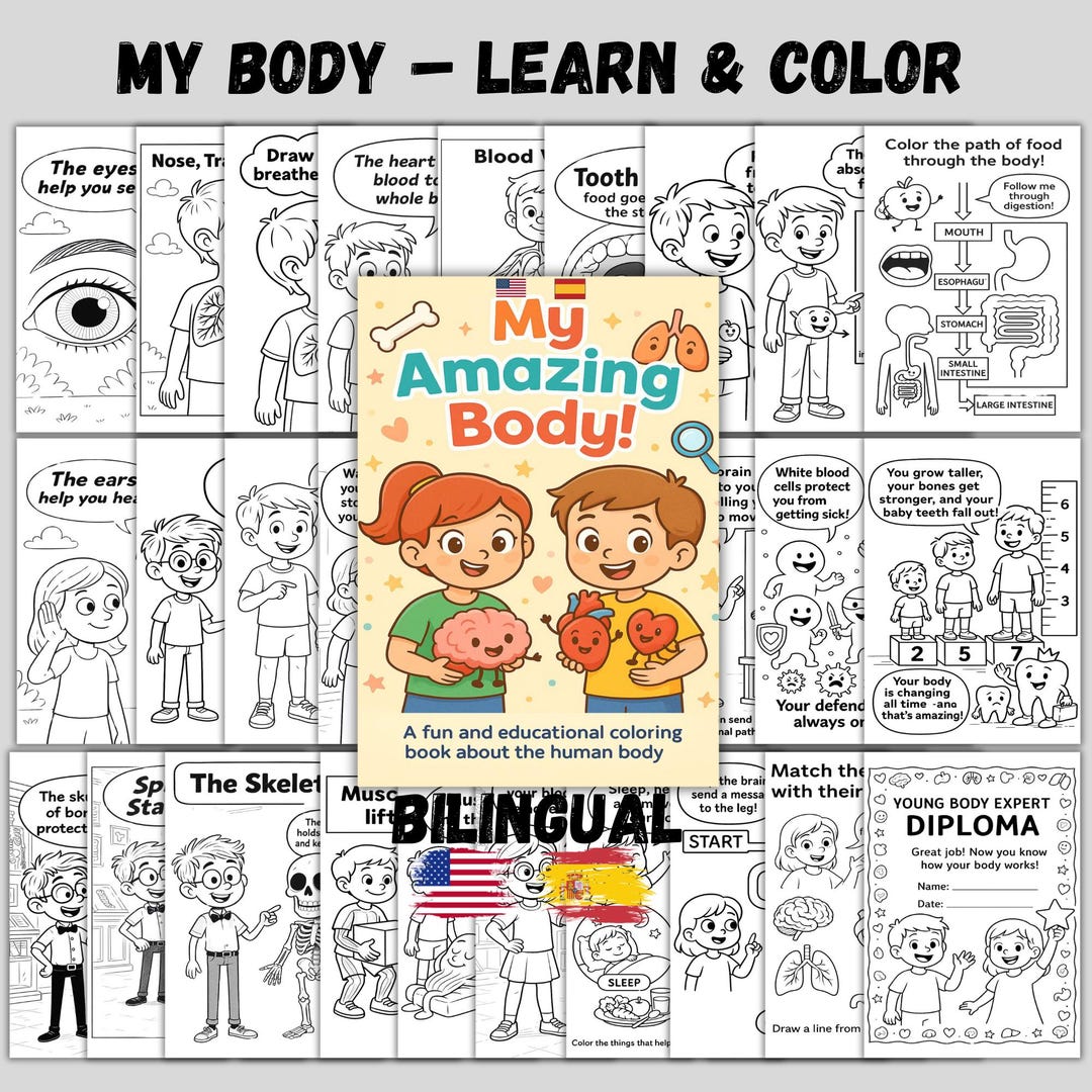 Human Body,kids Activity Coloring Pages, Organs Learning, Human Anatomy ...