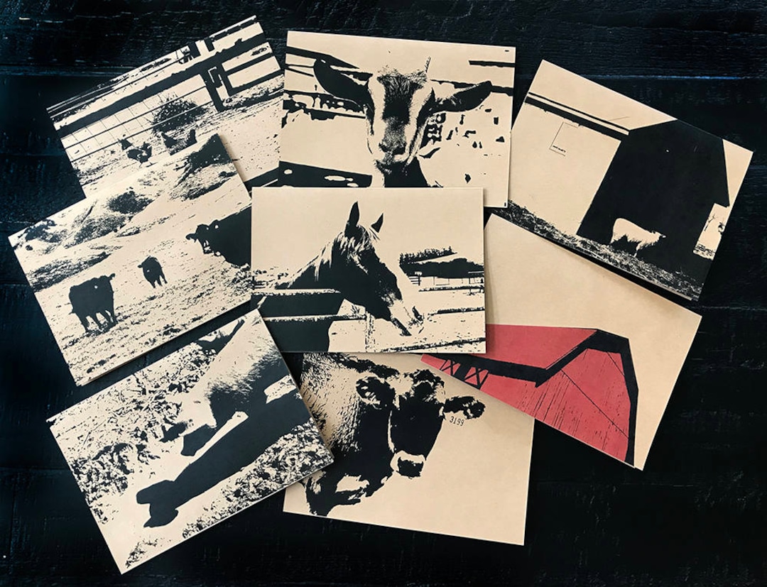 Farm Animal Note Card Boxed Set of 8 Blank Inside Recycled Kraft Pig ...