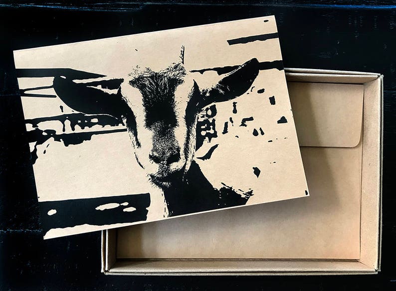 Farm Animal note card boxed set of 8 blank inside recycled | Etsy