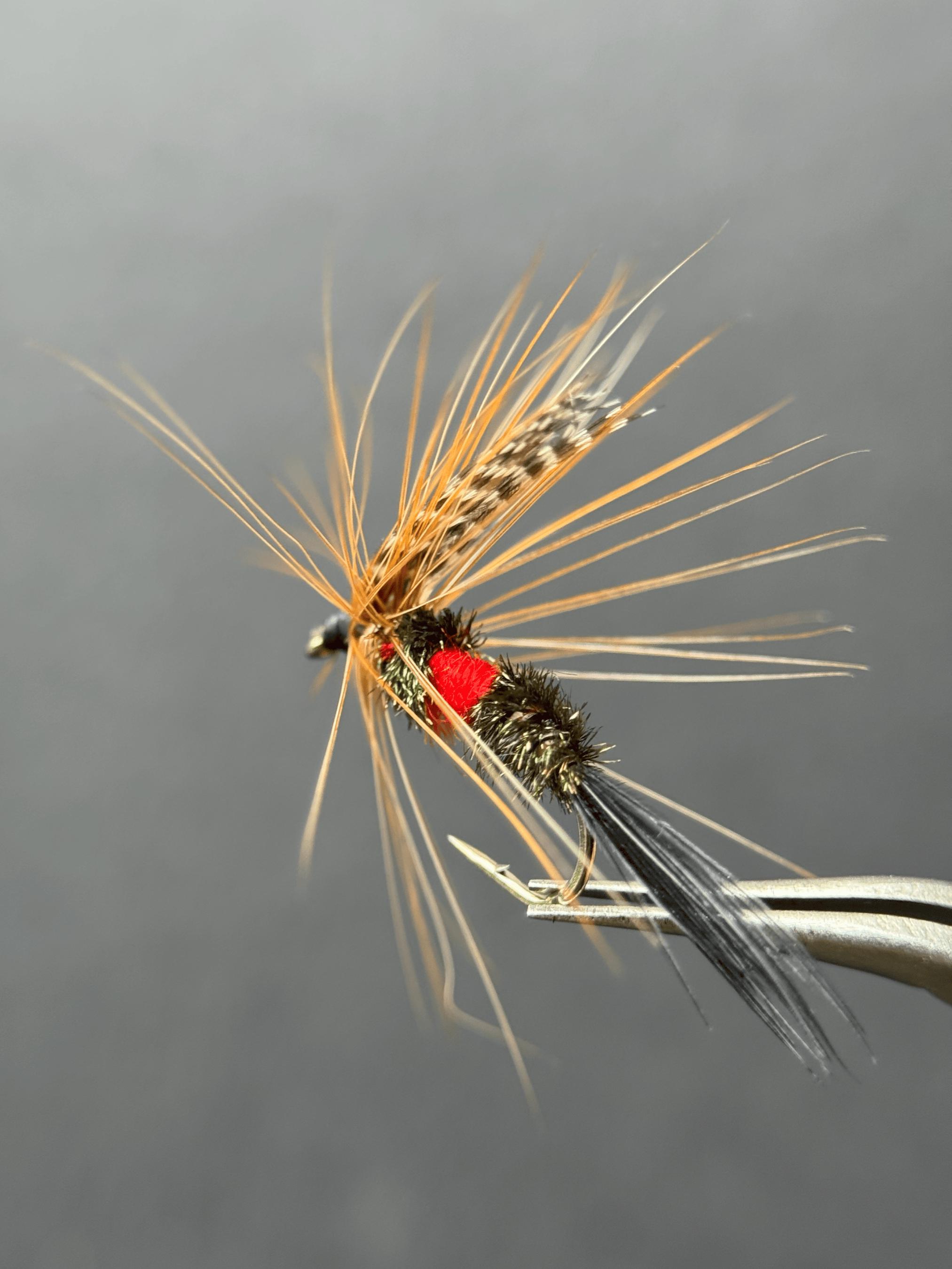 24pcs Classic Wet Fly Fishing Flies – Size 12 Soft Hackle Trout Lures – Hand-tied Wet Flies for ...