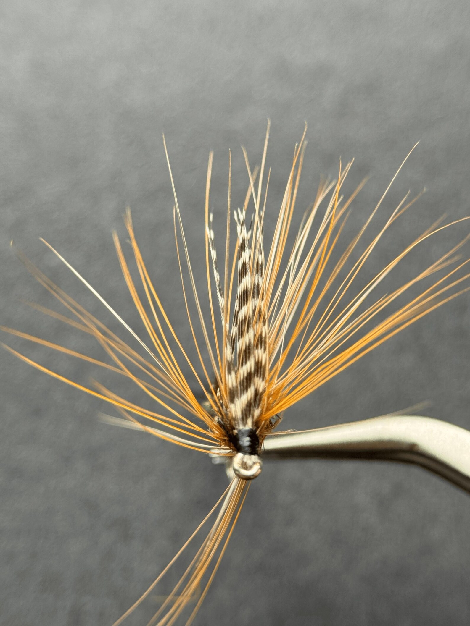 24pcs Classic Wet Fly Fishing Flies – Size 12 Soft Hackle Trout Lures ...