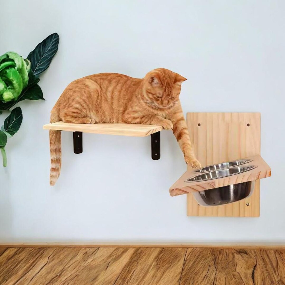 Wall-mounted Cat Feeding Station With Wooden Shelf & Stainless Steel ...