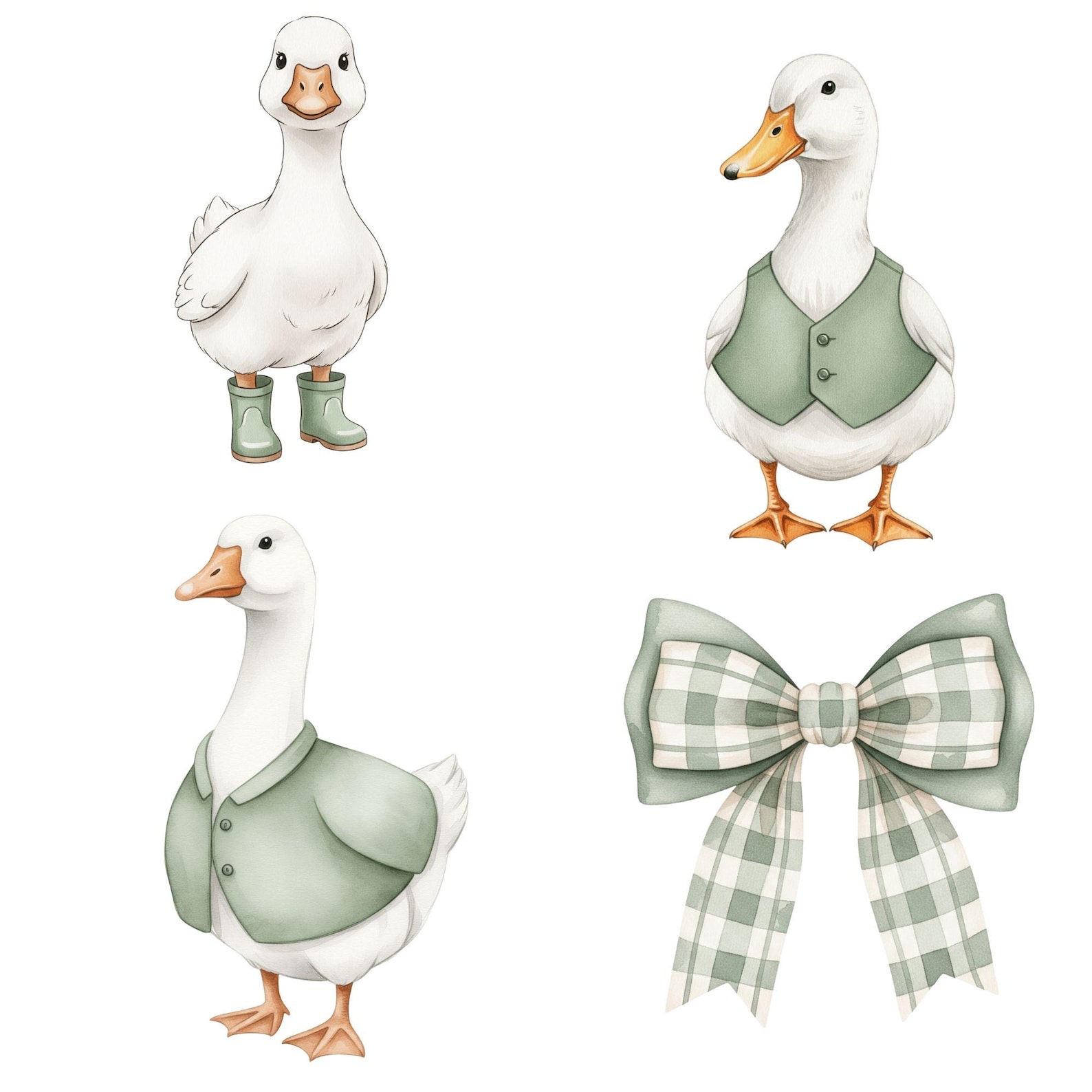 Clipart de ganso divertido, clipart de ganso rústico de acuarela, lindo ...