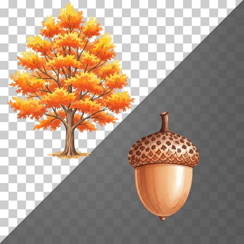 Watercolor Fall Animals Clipart: Woodland Baby Shower PNG Bundle - Etsy