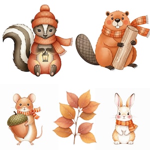 Watercolor Fall Animals Clipart: Woodland Baby Shower PNG Bundle - Etsy