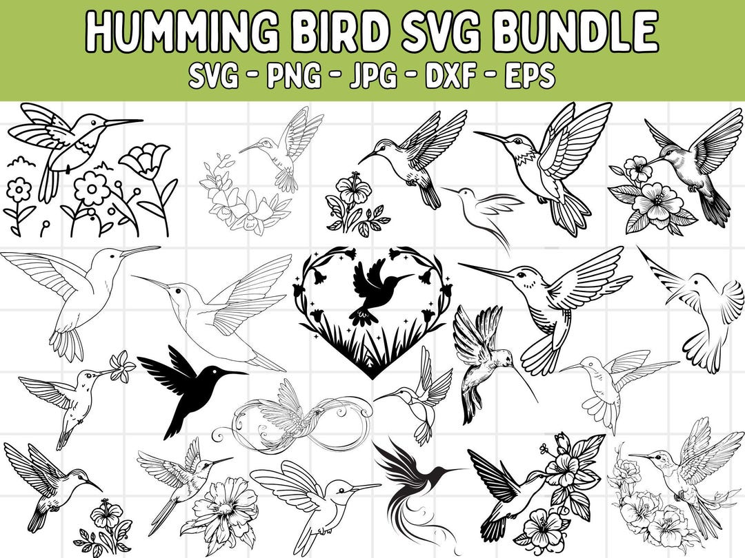 Hummingbird SVG Bundle, Hand Drawn Retro Designs (digital Download) - Etsy