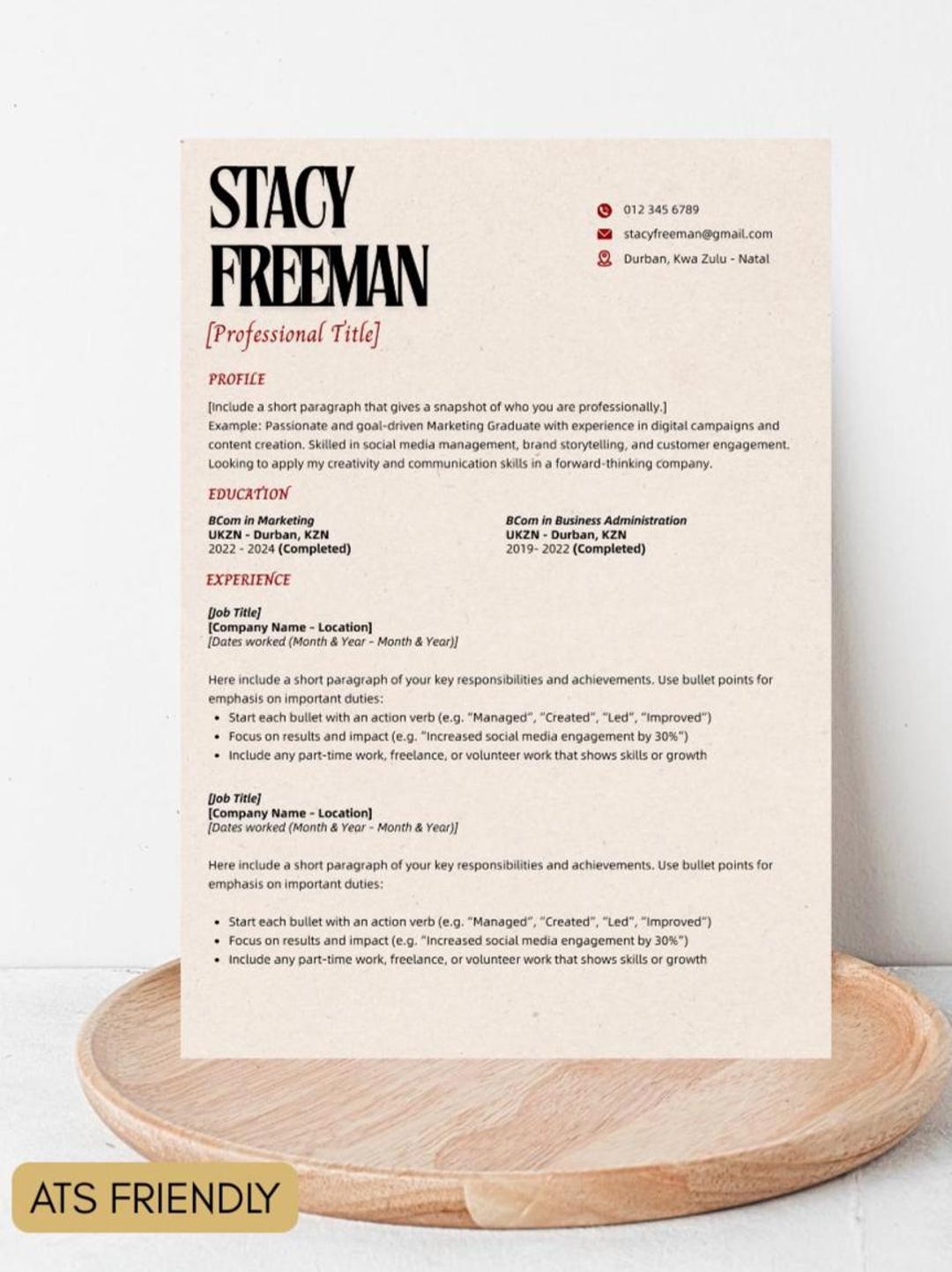 Vintage ATS Resume Template Canva Editable Template Retro-inspired ...