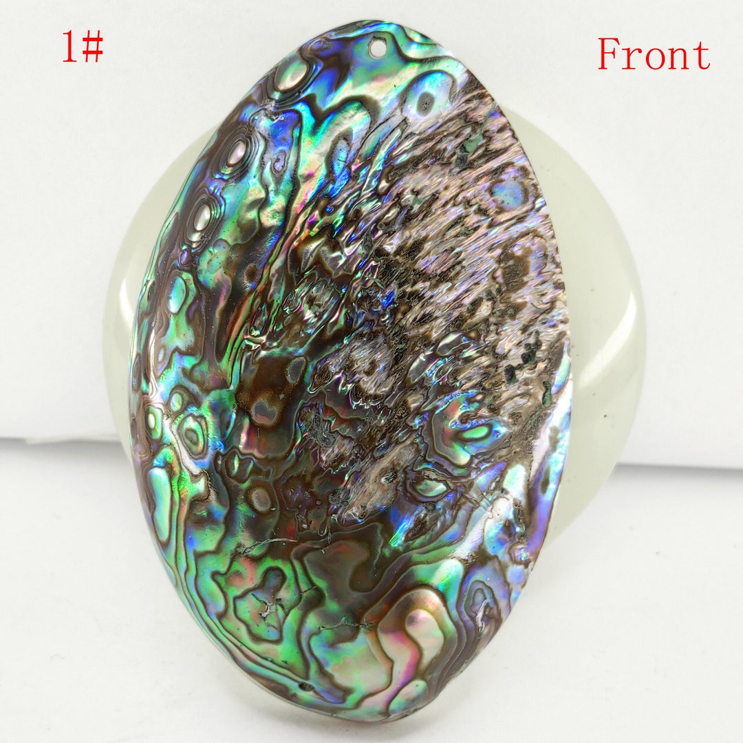 Abalone Pendant,abalone Shell Bead , Large Pendant,paua Shell Pendant ...