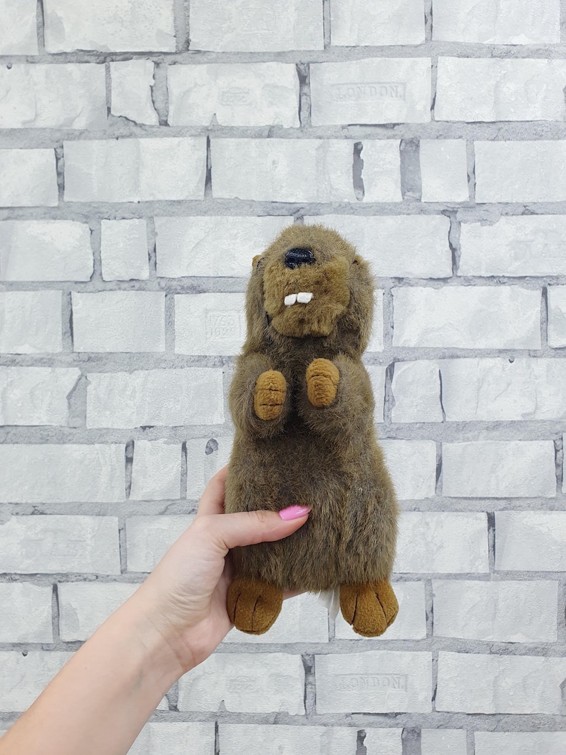 Vintage Stuffed Marmot Beaver Plush Toys 7.5" Animal Collectible Baby ...