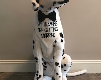 Dog wedding attire | Etsy