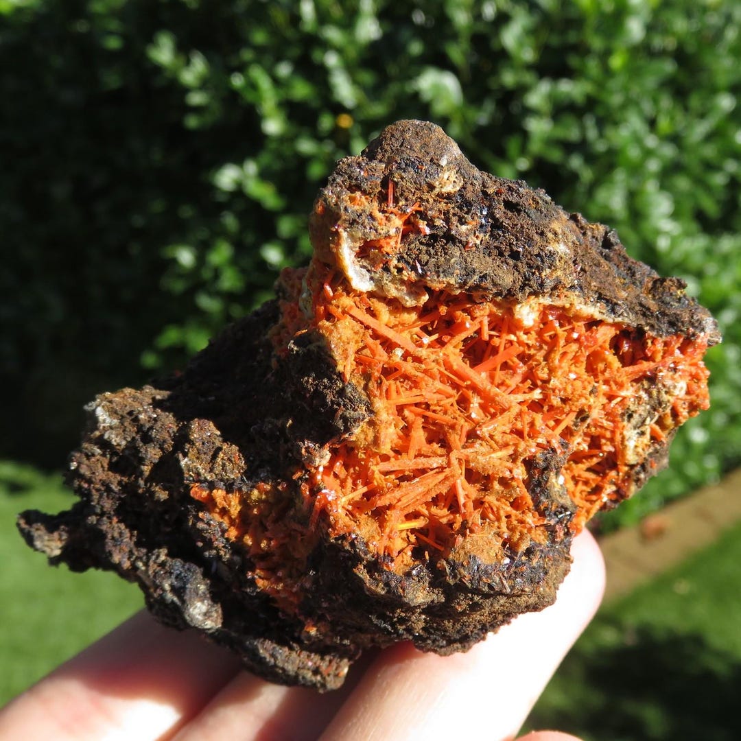 Red Crocoite on Matrix – Red Crocoite Crystal Adelaide Mine Tasmania ...