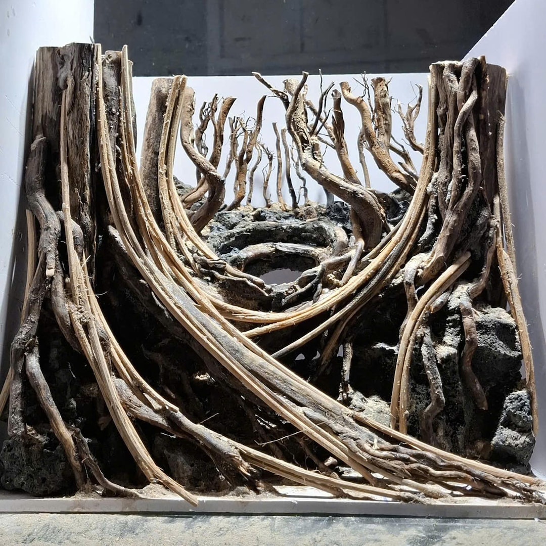 Jungle Aquascape Driftwood | Handmade Natural Wood for Aquascaping ...