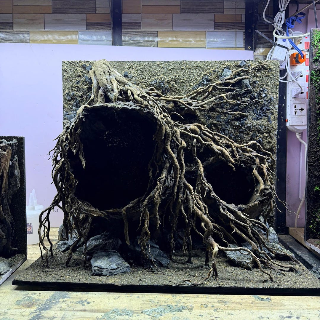 Aquascape Driftwood Cave | Handmade Natural Wood for Aquascaping ...