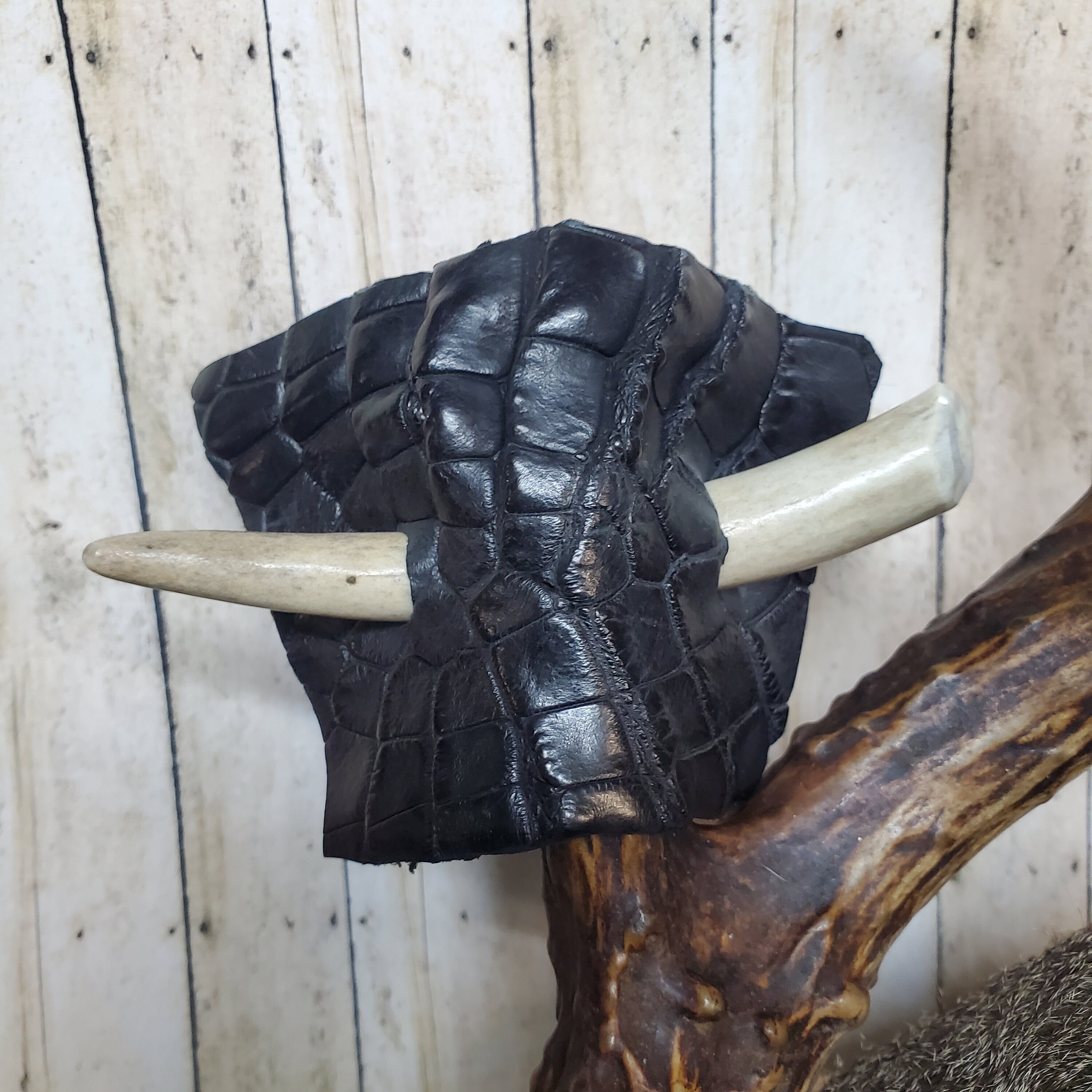 BLACK Genuine Alligator Hide Hair Holder With Deer Antler - Etsy