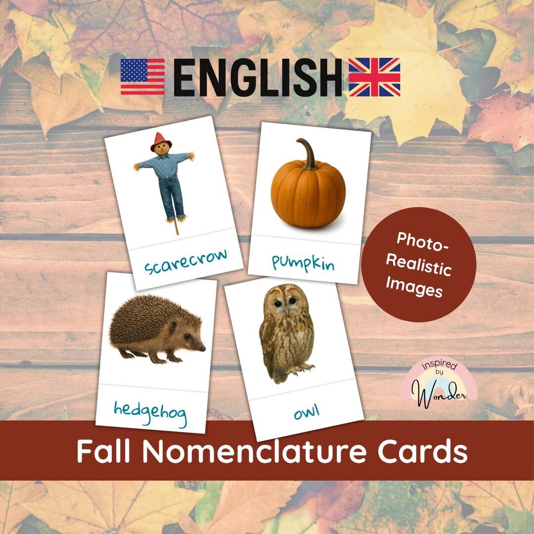 Photorealistic Fall/autumn 3 Part Cards | Montessori Seasonal ...