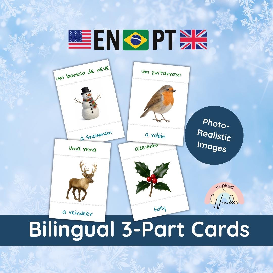 Photorealistic Winter Montessori Nomenclature 3 Part Cards: Seasonal ...
