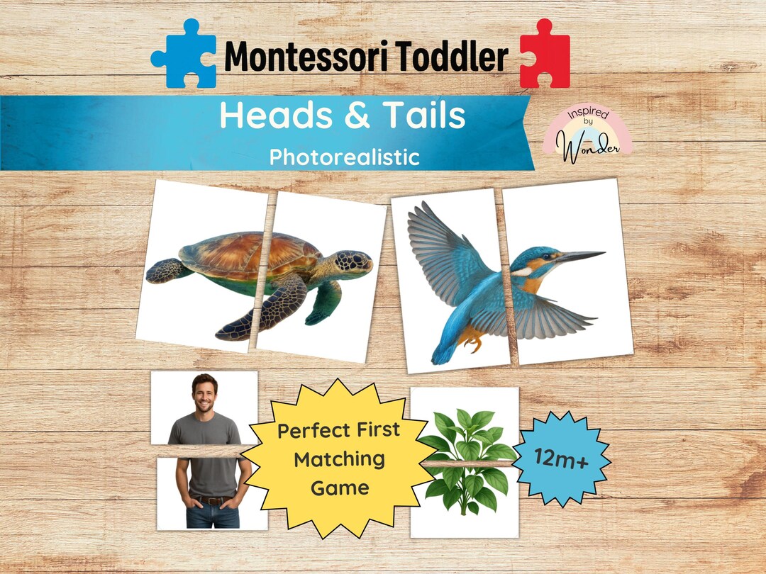 Photorealistic Living Things Heads & Tails Game | Montessori Toddler ...