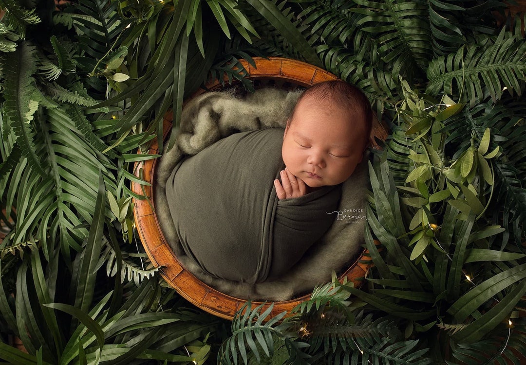 Jungle Digital Backdrop -"jungle"-newborn Photo Prop- Digital ...