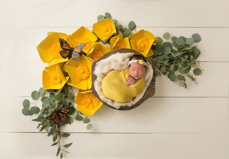 Newborn Digital Backdrop it's a Sunshine - Etsy