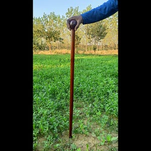 1920s Style Rosewood Walking Cane – Handmade Wooden Hiking Stick ...