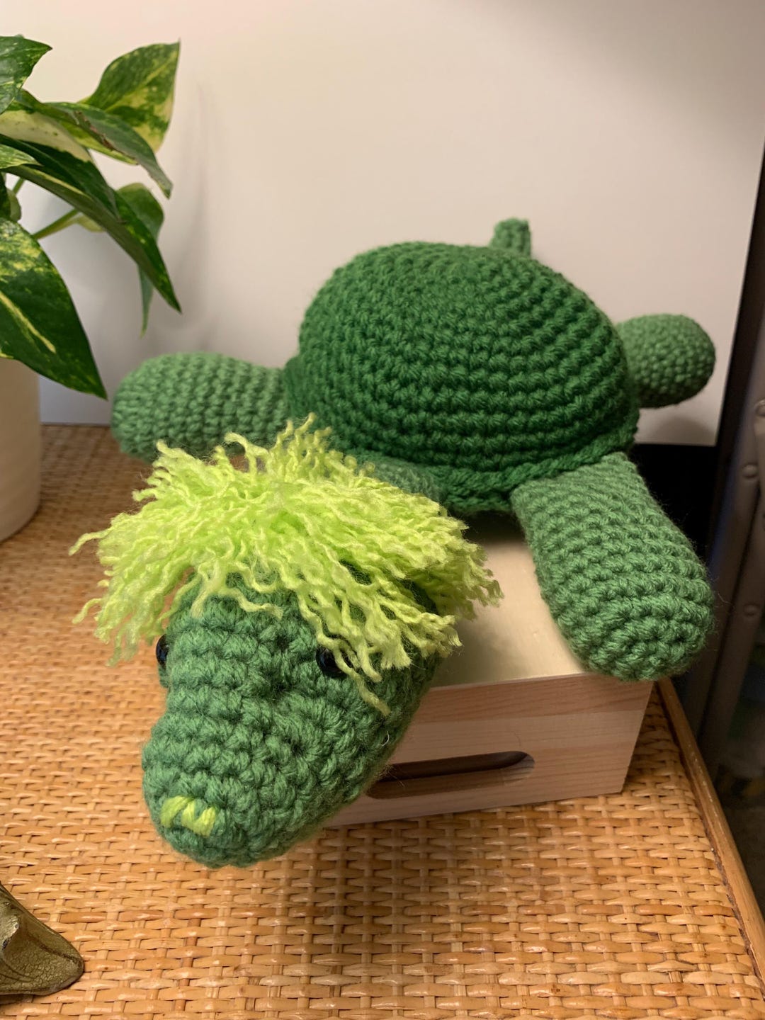 Harry the River Turtle - Etsy
