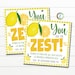 Lemons Gift Tag, You Are the Zest, Lemon Theme Appreciation Week Gift ...