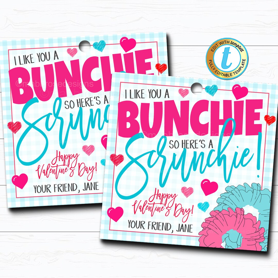 Valentine Scrunchie Tags, Hair Tie Girl Valentine I Like You a Bunchie ...