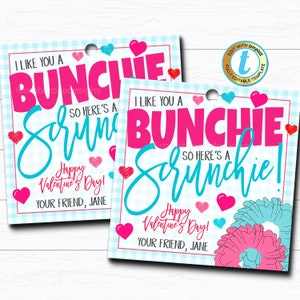 Valentine Scrunchie Tags, Hair Tie Girl Valentine I Like You a Bunchie ...