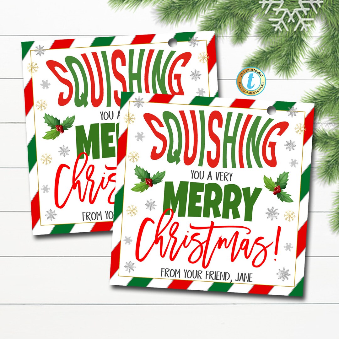 Christmas Squishies Gift Tag, Squishing You a Happy Holidays, Stocking ...