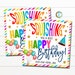 Birthday Squishies Gift Tag, Squishing You a Happy Birthday Favor Tag ...
