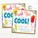 Popsicle Gift Tag, Thanks for Being so Cool You're the Sweetest, School ...