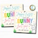 Easter Bunny Printable Gift Tags, Kids Easter Morning, Some Bunny Loves ...
