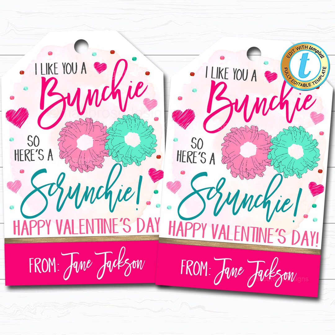 Valentine Scrunchie Tags, Hair Tie Girl Valentine I Like You a Bunchie ...