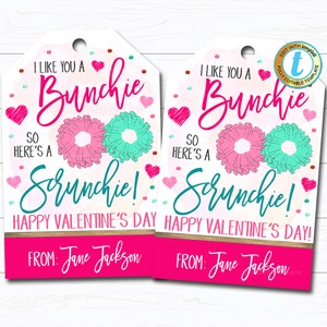 Valentine Scrunchie Tags, Hair Tie Girl Valentine I Like You a Bunchie ...