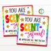 Appreciation Gift Tag, You Are Scent-sational, Employee Volunteer Nurse ...