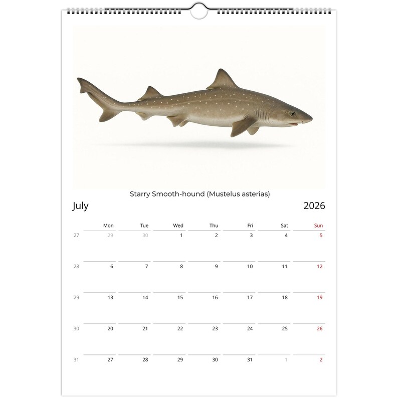Fish Calendar 2026 – UK Saltwater/game Fish | Wall Calendar A3/A4 ...