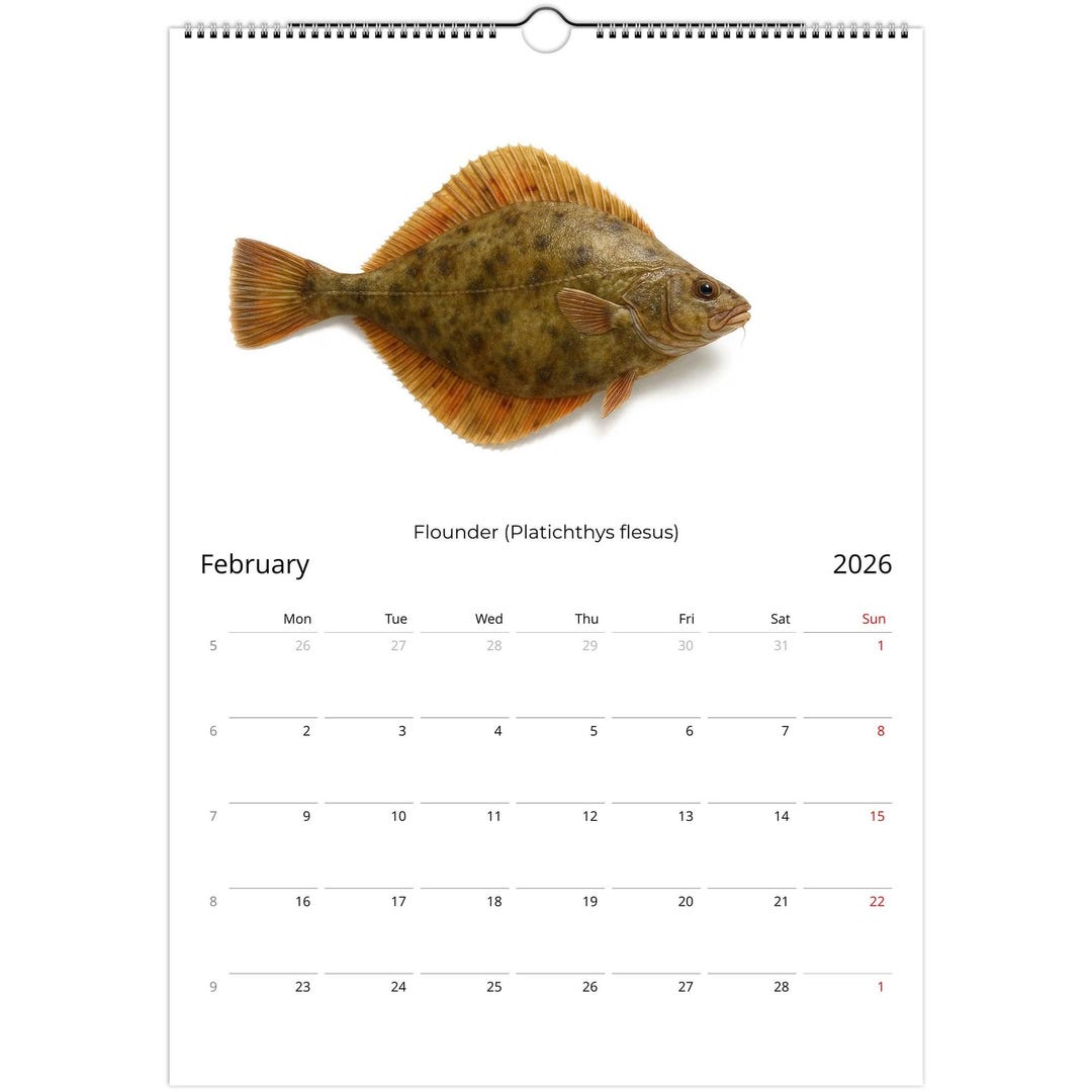 Fish Calendar 2026 – UK Saltwater/game Fish | Wall Calendar A3/A4 ...