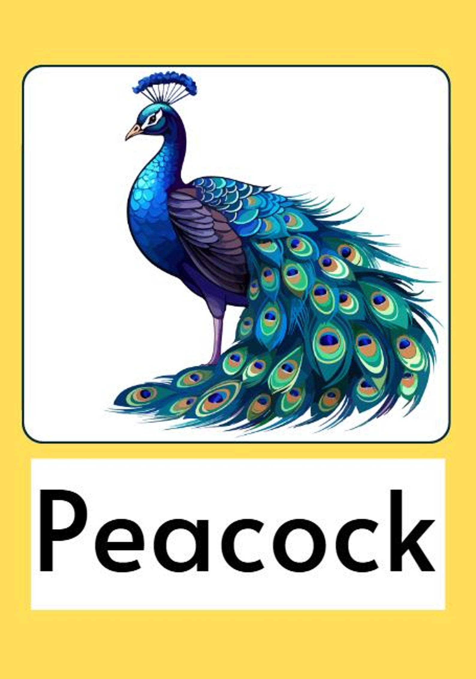 100 Animal Flashcards for Kids – Printable Vocabulary Cards | Preschool ...