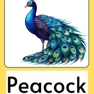 100 Animal Flashcards for Kids – Printable Vocabulary Cards | Preschool ...
