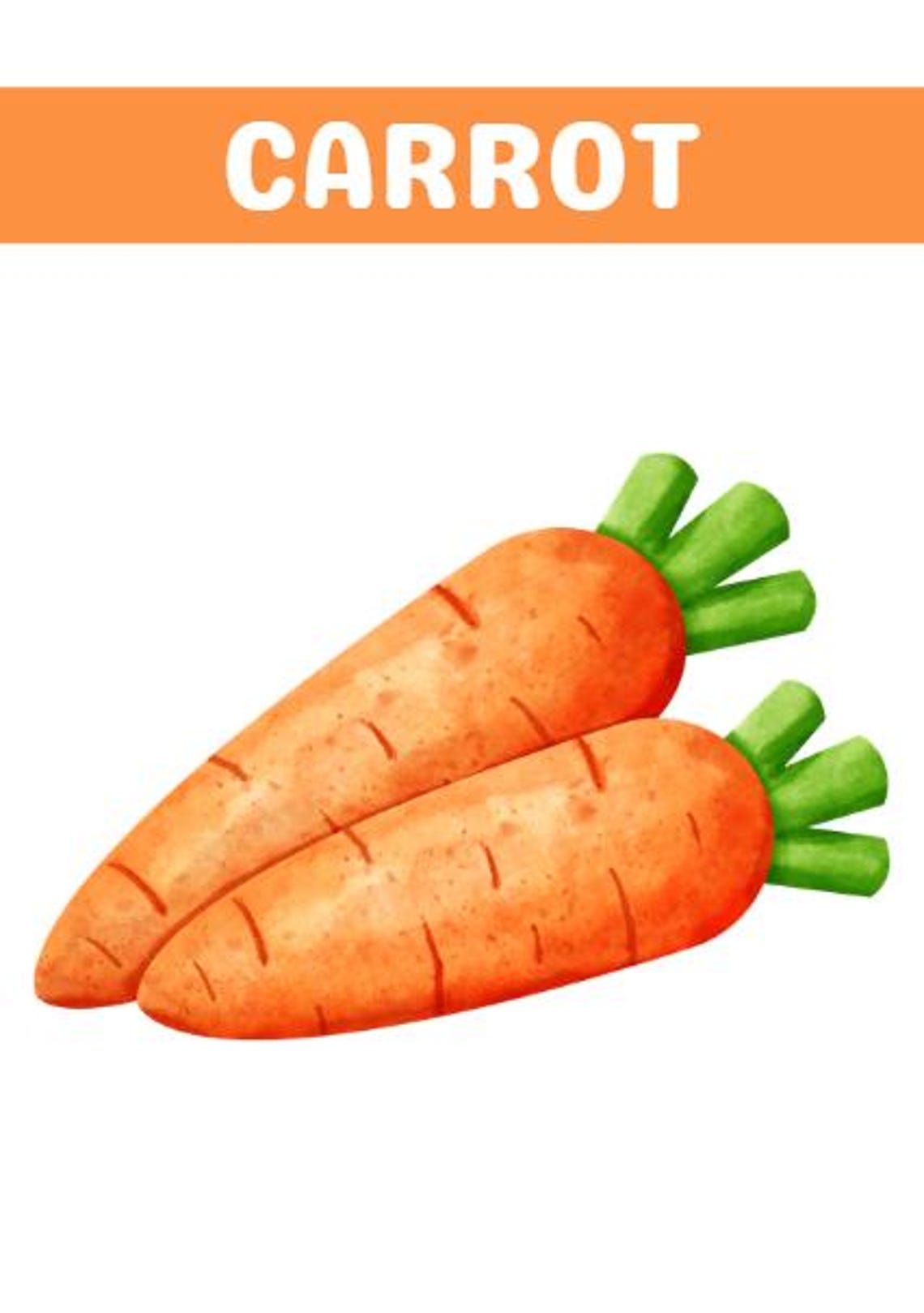 50 Vegetables Flashcards for Kids – Printable Vocabulary Cards for ...
