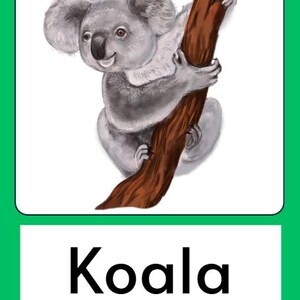 100 Animal Flashcards for Kids – Printable Vocabulary Cards | Preschool ...