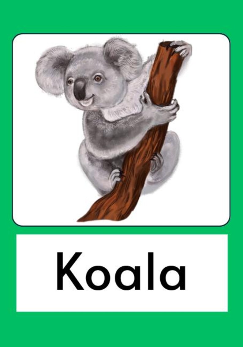 100 Animal Flashcards for Kids – Printable Vocabulary Cards | Preschool ...