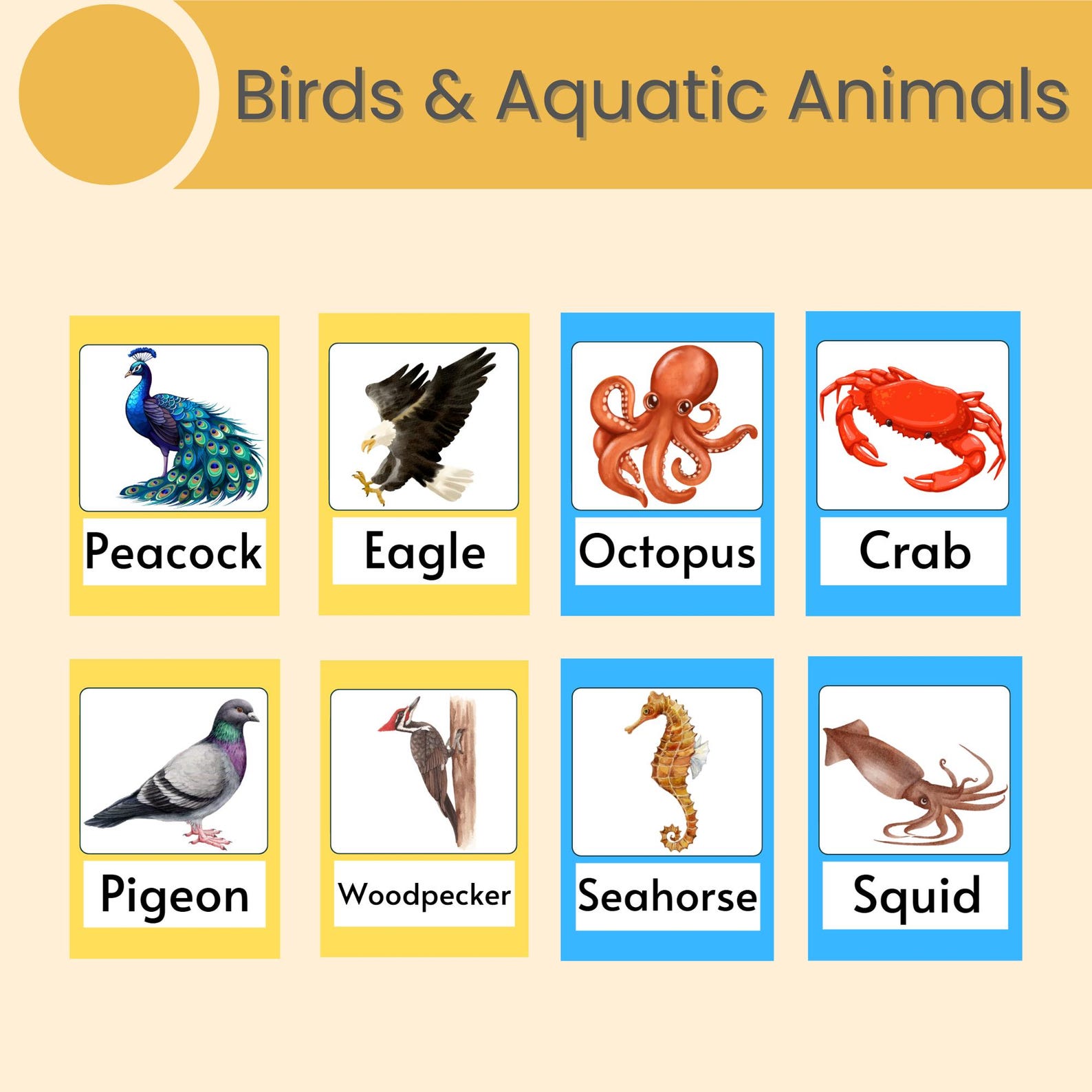 100 Animal Flashcards for Kids – Printable Vocabulary Cards | Preschool ...