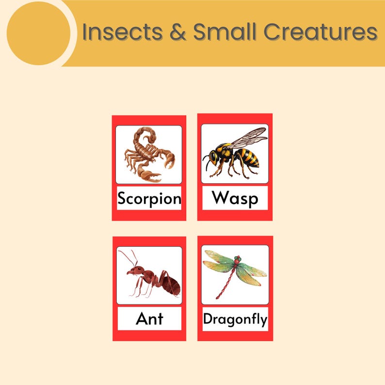 100 Animal Flashcards for Kids – Printable Vocabulary Cards | Preschool ...